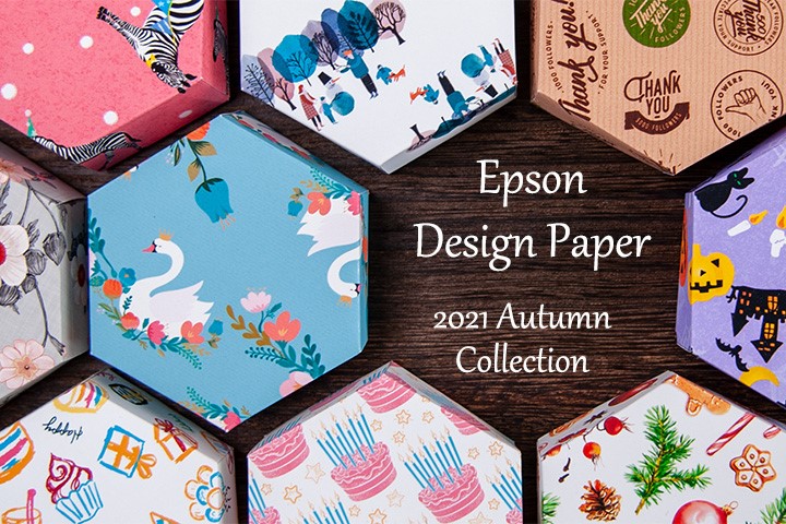 Epson Setup Navi | Gallery