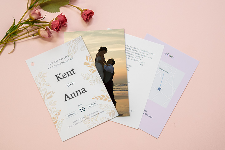 Epson Setup Navi | Gallery