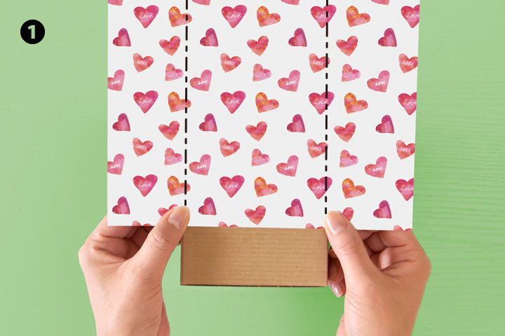 Epson Setup Navi | Gallery