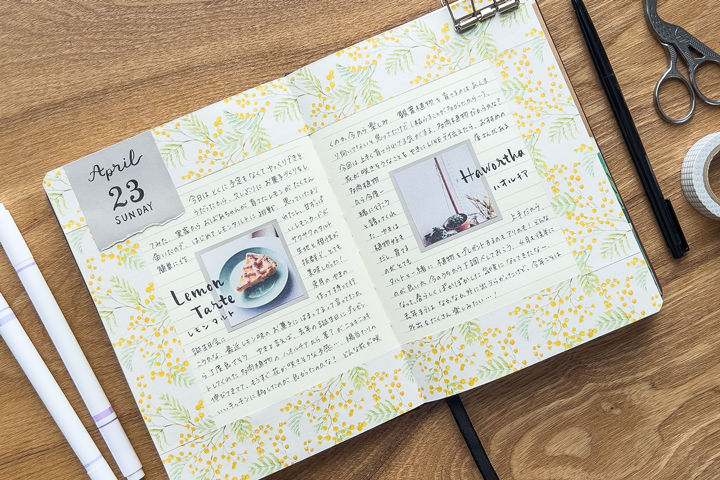 Epson Setup Navi | Gallery