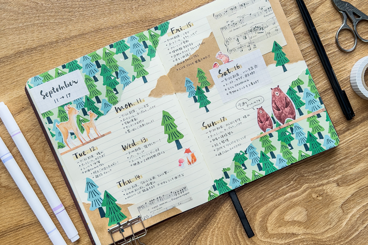 Epson Setup Navi | Gallery