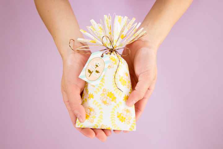 Epson Setup Navi | Gallery