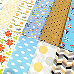 Epson Setup Navi | Gallery