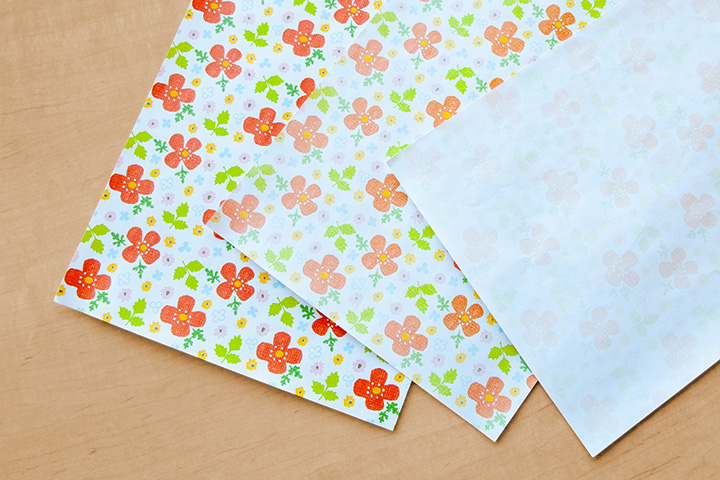 Epson Setup Navi | Gallery