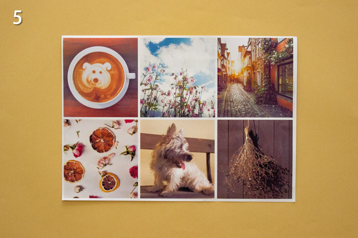 Epson Setup Navi | Gallery