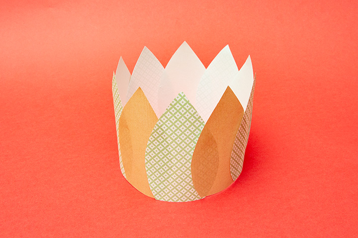 Epson Setup Navi | Gallery