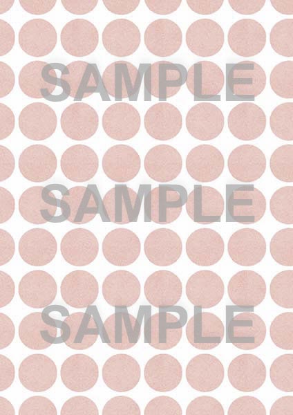 Epson Setup Navi | Gallery