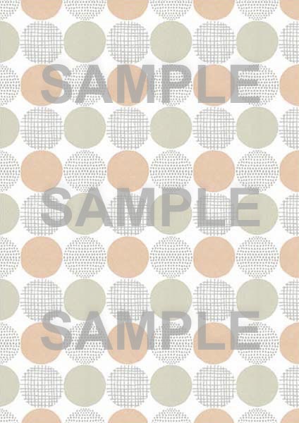 Epson Setup Navi | Gallery