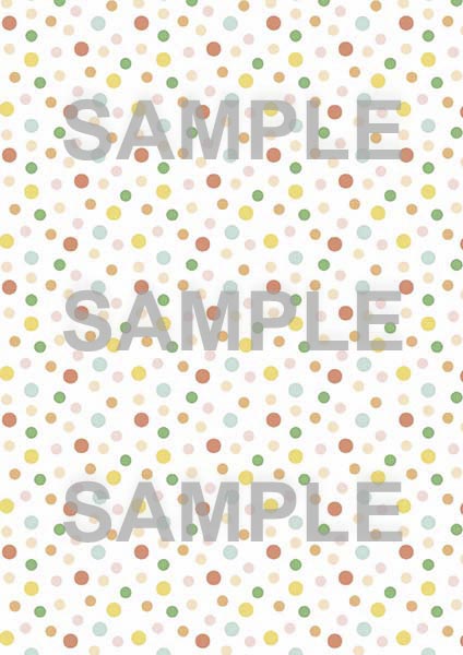 Epson Setup Navi | Gallery