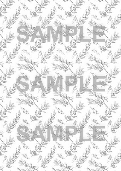 Epson Setup Navi | Gallery