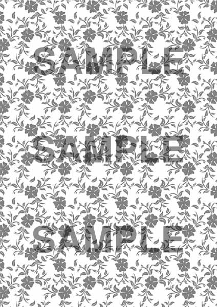 Epson Setup Navi | Gallery