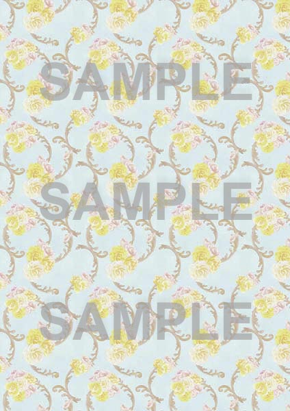 Epson Setup Navi | Gallery