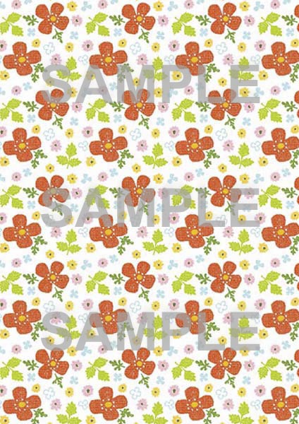 Epson Setup Navi | Gallery