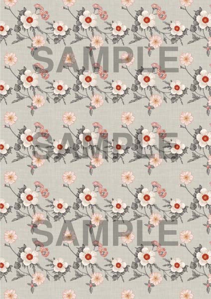 Epson Setup Navi | Gallery