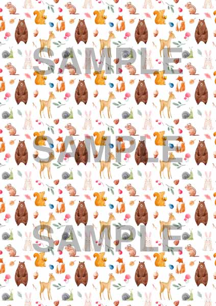 Epson Setup Navi | Gallery