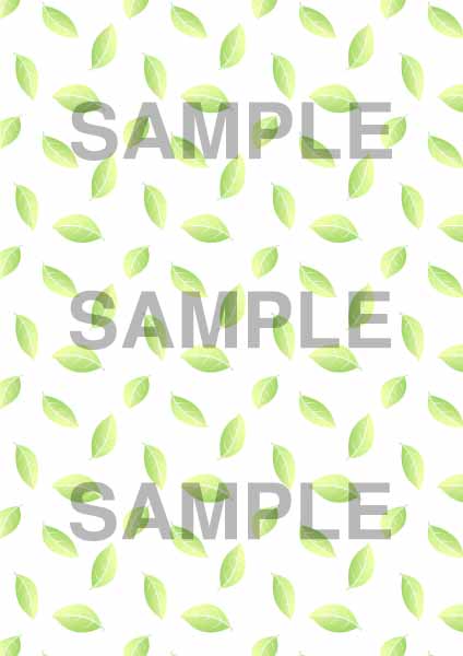 Epson Setup Navi | Gallery