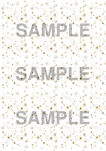 Epson Setup Navi | Gallery