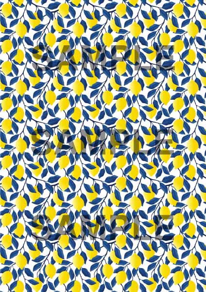 Epson Setup Navi | Gallery