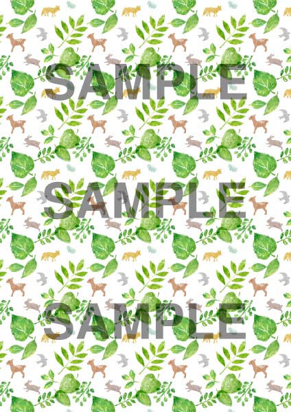 Epson Setup Navi | Gallery